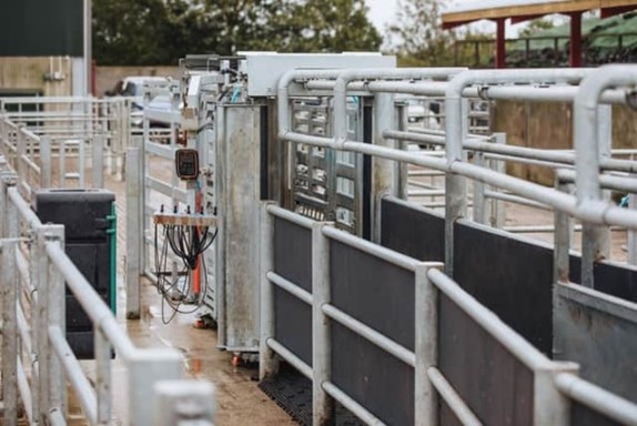 Foyle Farms of Excellence: Maximising Farm Safety & Bud-Box Design ...