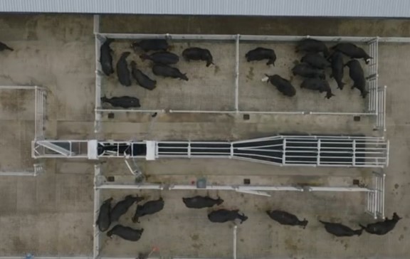 Foyle Farms of Excellence: Maximising Farm Safety & Bud-Box Design ...