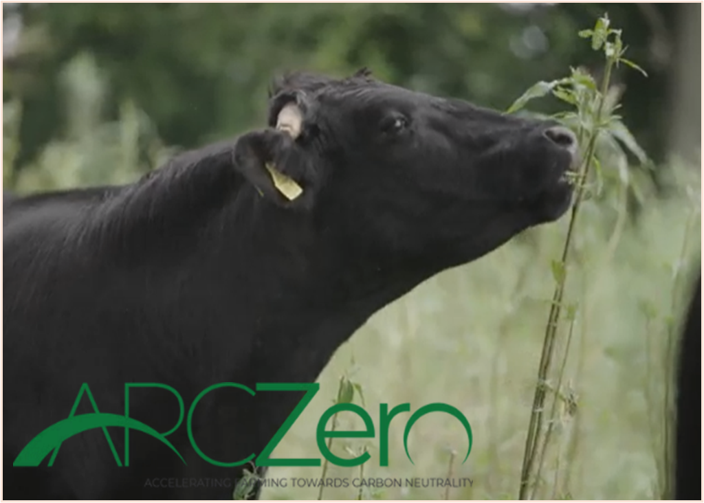 Foyle Leads the Way In Cutting GHG Emissions In Agriculture: Methane ...