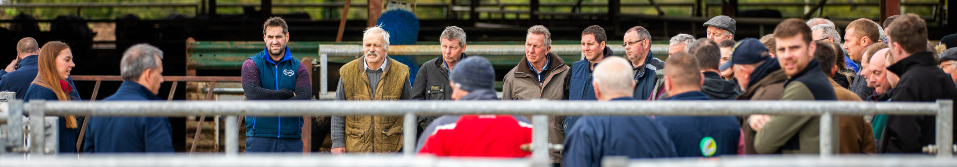 Contact Us - Foyle Producers